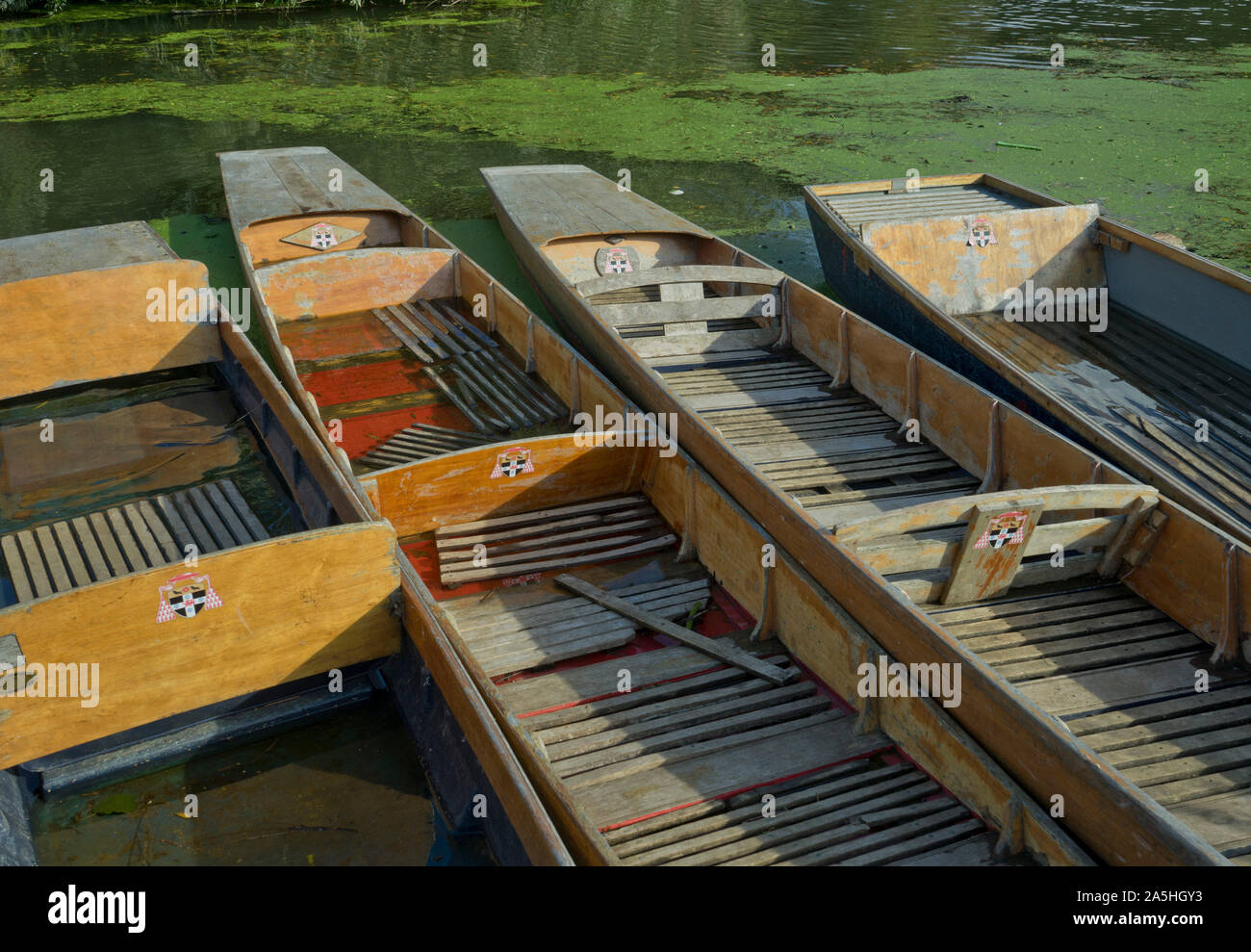 Boats of the Oxford University Rowing Clubs by the river Thames in ...
