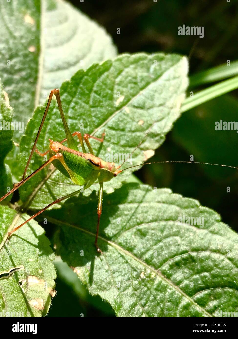 Slow motion close up face hi-res stock photography and images - Alamy