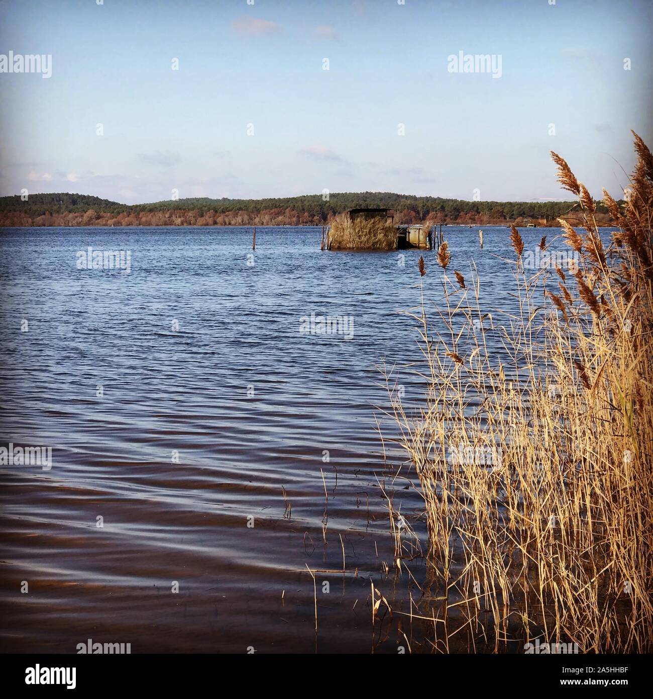 Hunters hut hi-res stock photography and images - Alamy