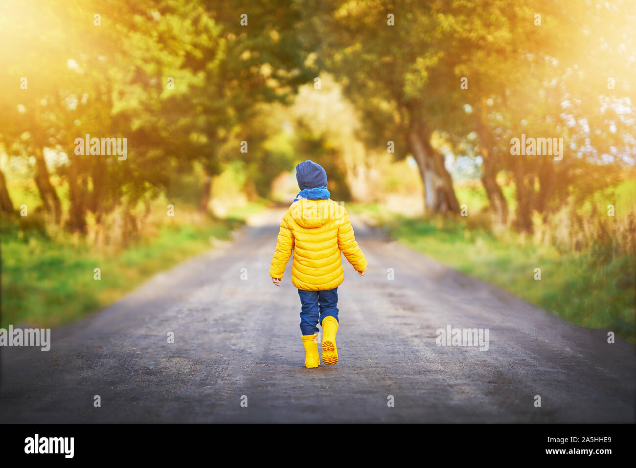Happy child boy playing outside in autumn Stock Photo - Alamy