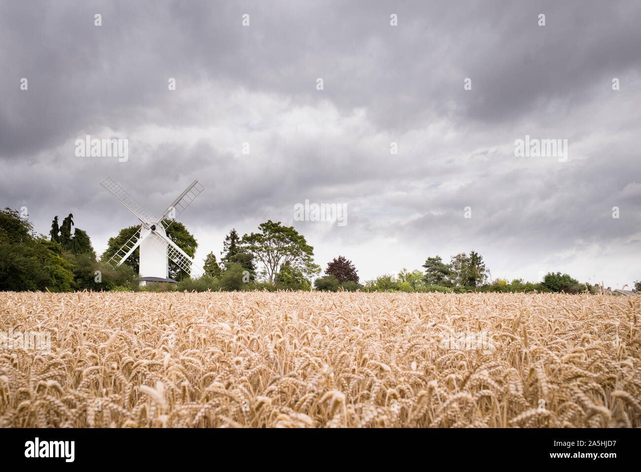 Bocking essex hi-res stock photography and images - Alamy