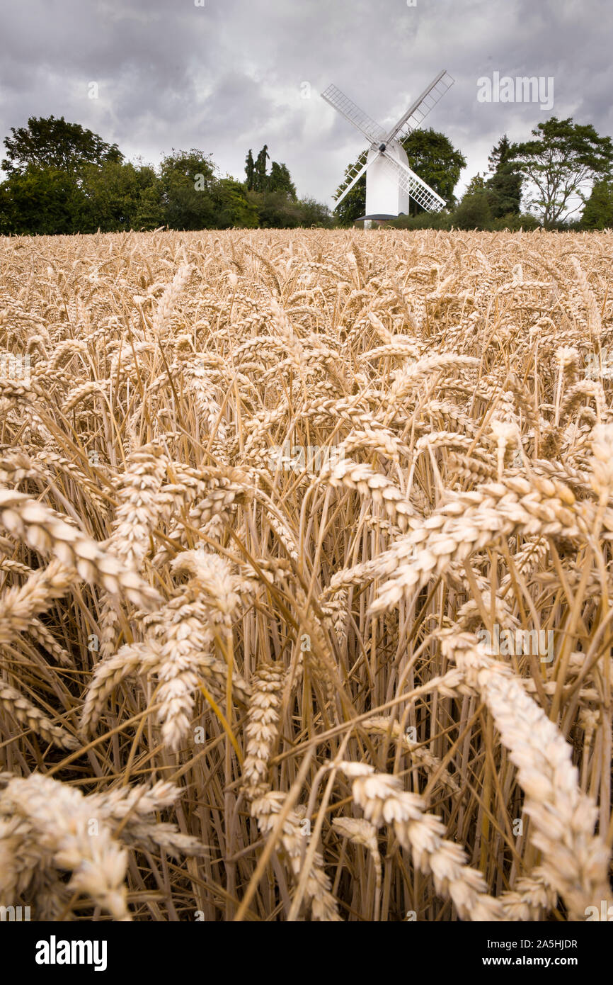 Restored wind mill hi-res stock photography and images - Alamy