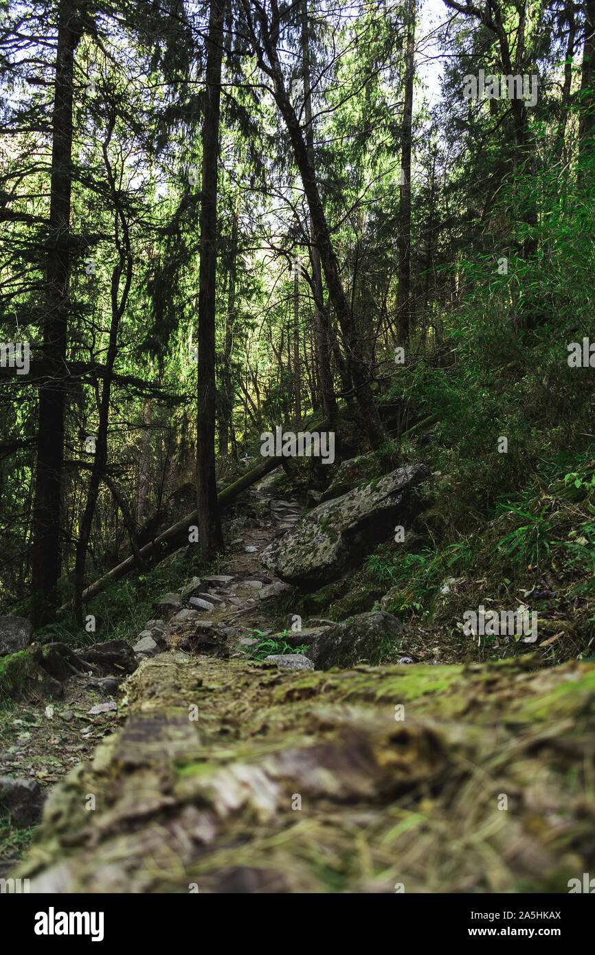 Mount earth hill jungle hi-res stock photography and images - Alamy