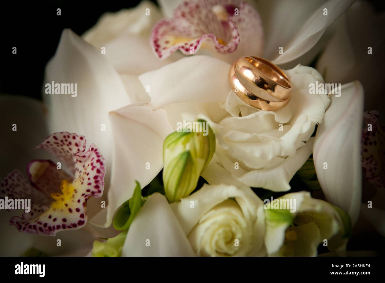Engagement theme gold ring hi-res stock photography and images - Alamy