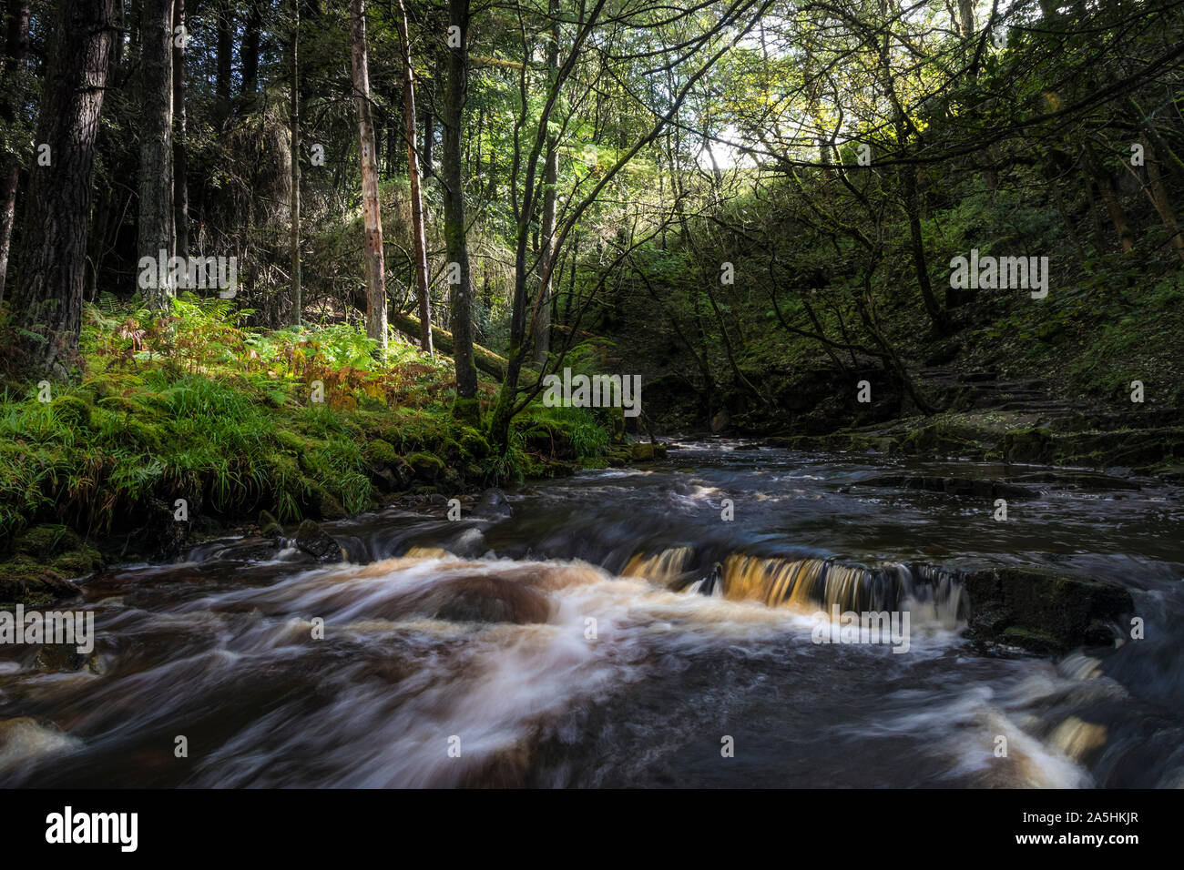 Bowlee Beck, Bowlees and Gibson’s Cave Nature Reserve, Upper Teesdale ...