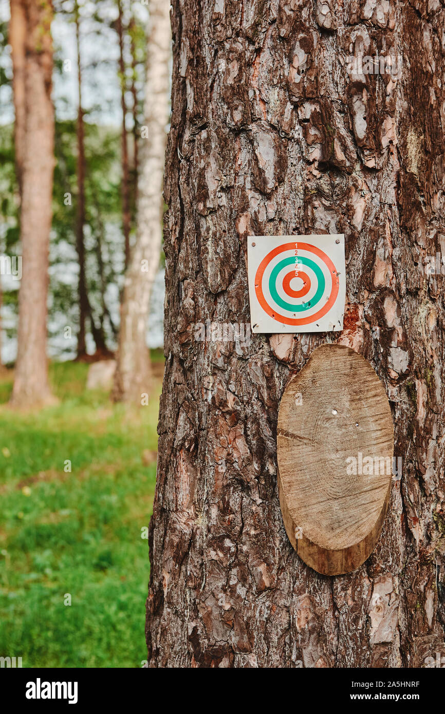 Paper and wood target on the tree for games and shooting training Stock ...