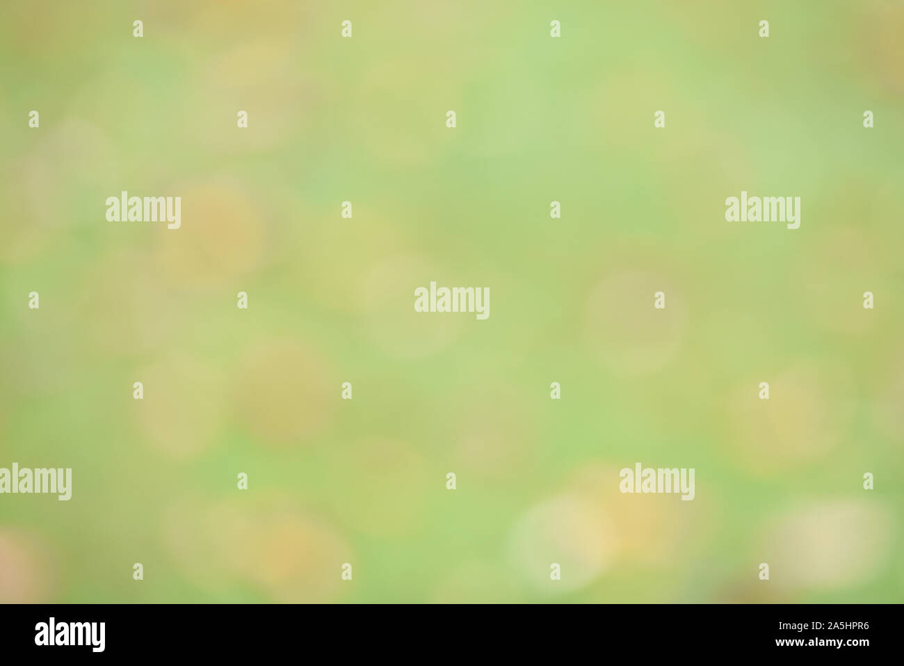 Natural outdoor background blur of grass and leaves, during day Stock ...