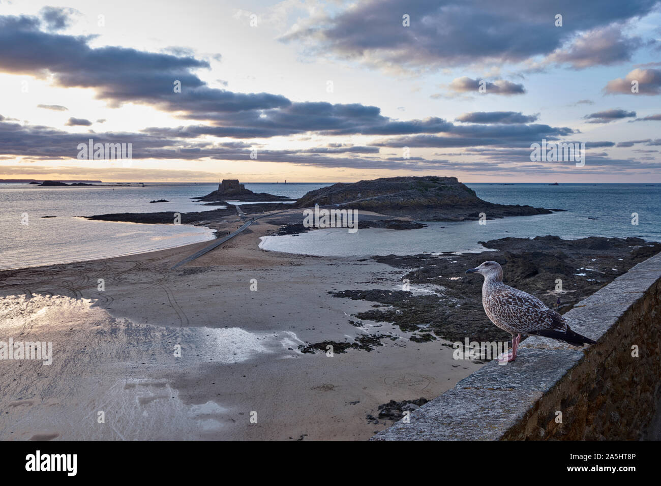 the islands of Grand-Bé and Petit-Bé in the walled city of Saint Malo ...