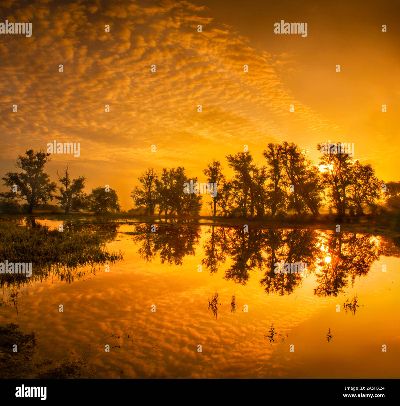 Shadow over lake hi-res stock photography and images - Alamy