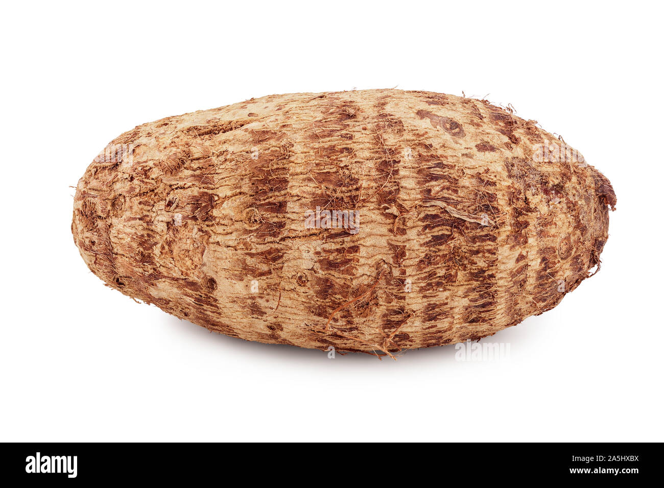 fresh taro root isolated on white background Stock Photo - Alamy
