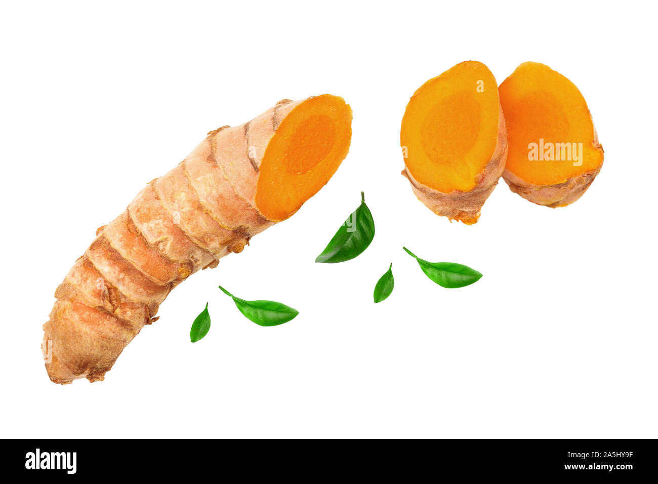 Turmeric root and slice isolated on white background with copy space ...