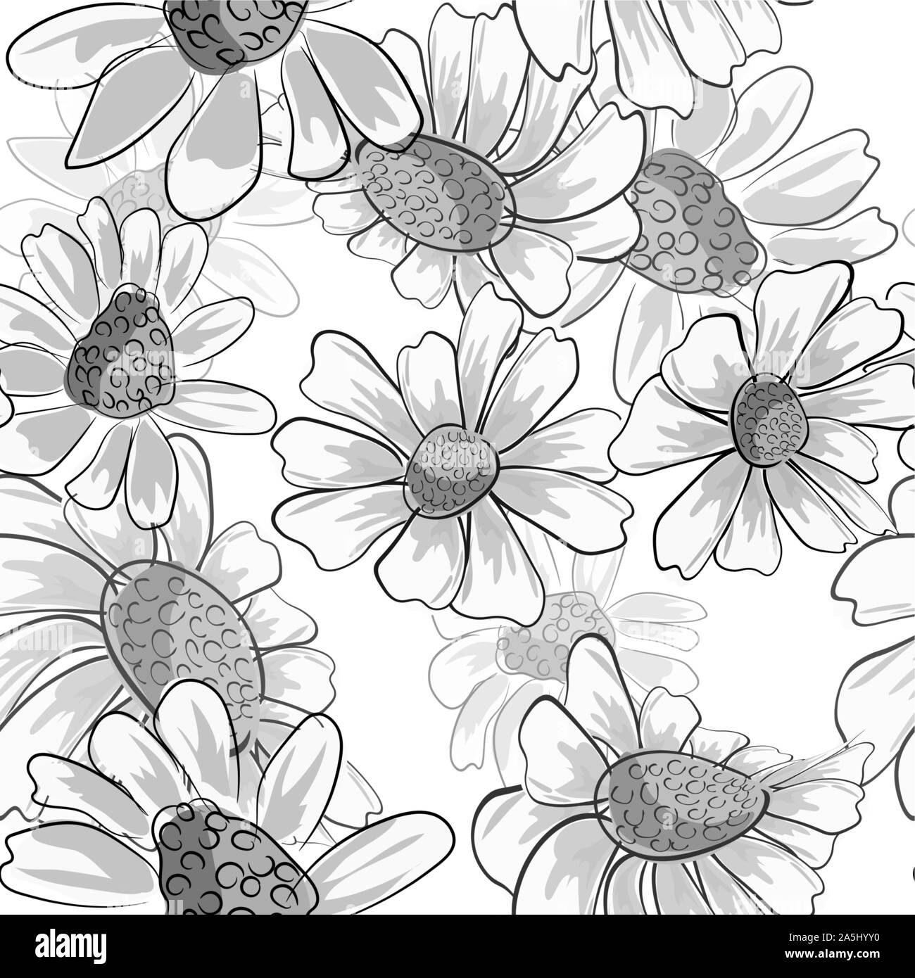 Chamomile seamless for decoration design. Floral botanical print. White ...