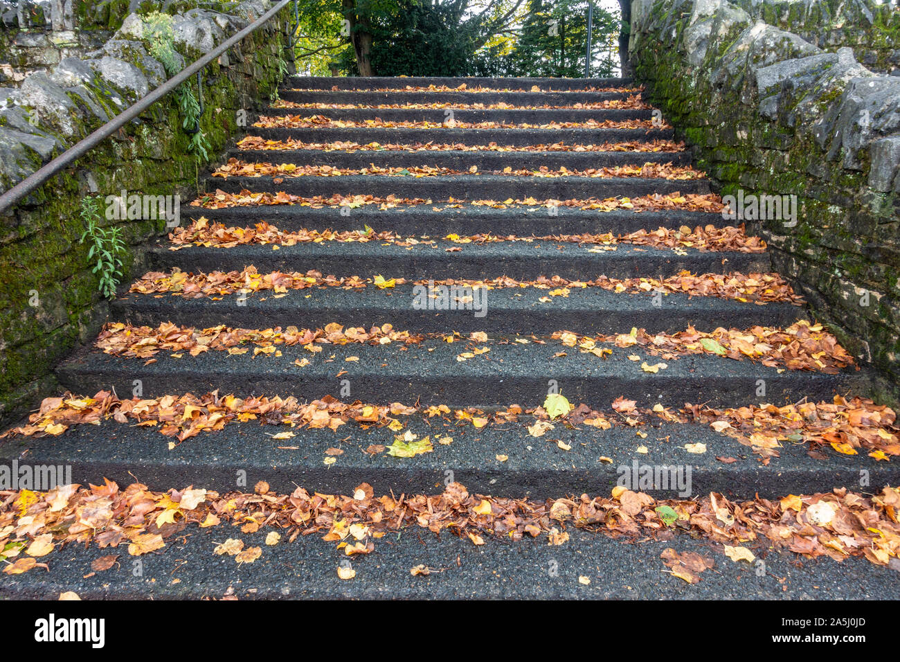 Autumn leaves on a flight of stairs Stock Photo - Alamy