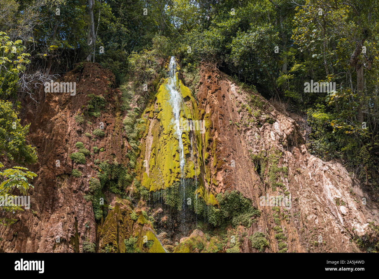 Close up of the wonderful El Limon tropical waterfall with lots of moss ...