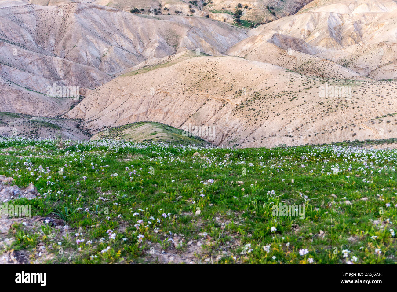 view of judean desert, Israel Stock Photo - Alamy