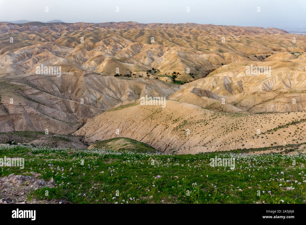 view of Judean Desert, Israel Stock Photo - Alamy