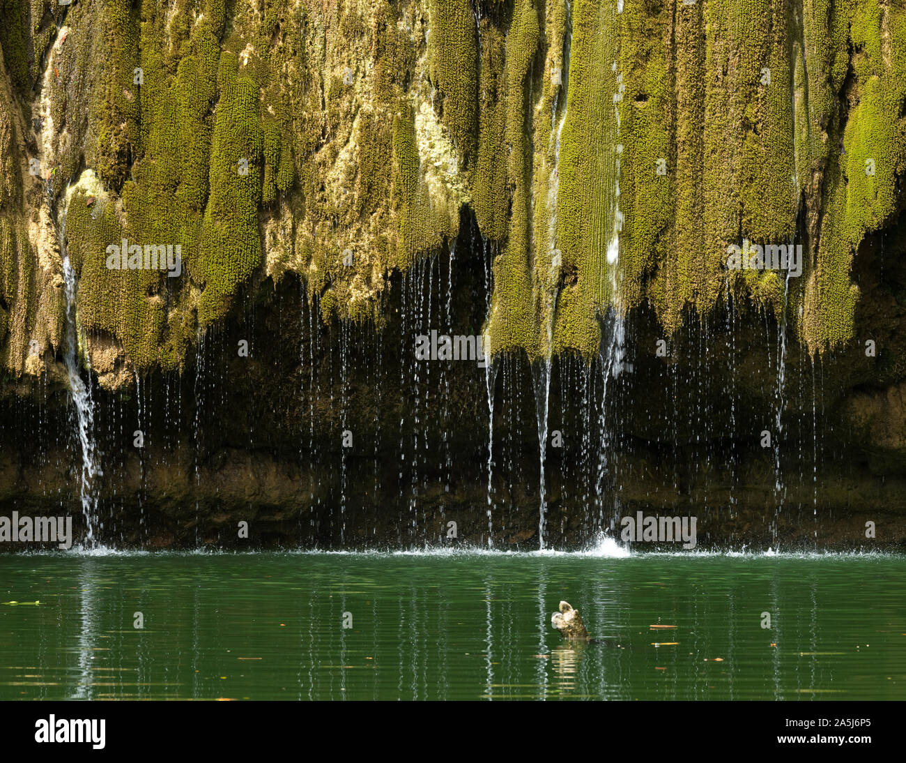 beautiful close up view of El Limon tropical waterfall with lots of ...