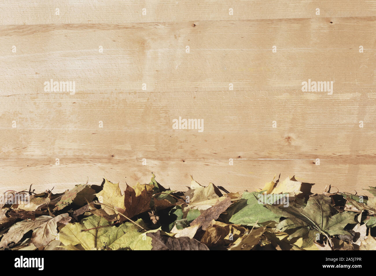 Fall wooden background decoration with brown leaves and empty space ...