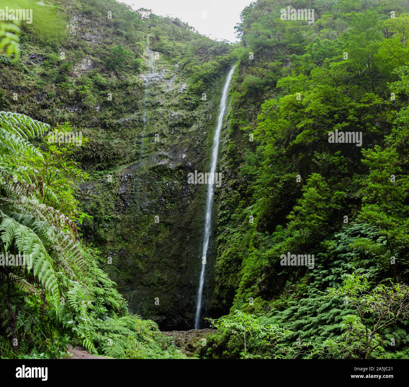 Madeira levada caldeira verde hi-res stock photography and images - Alamy