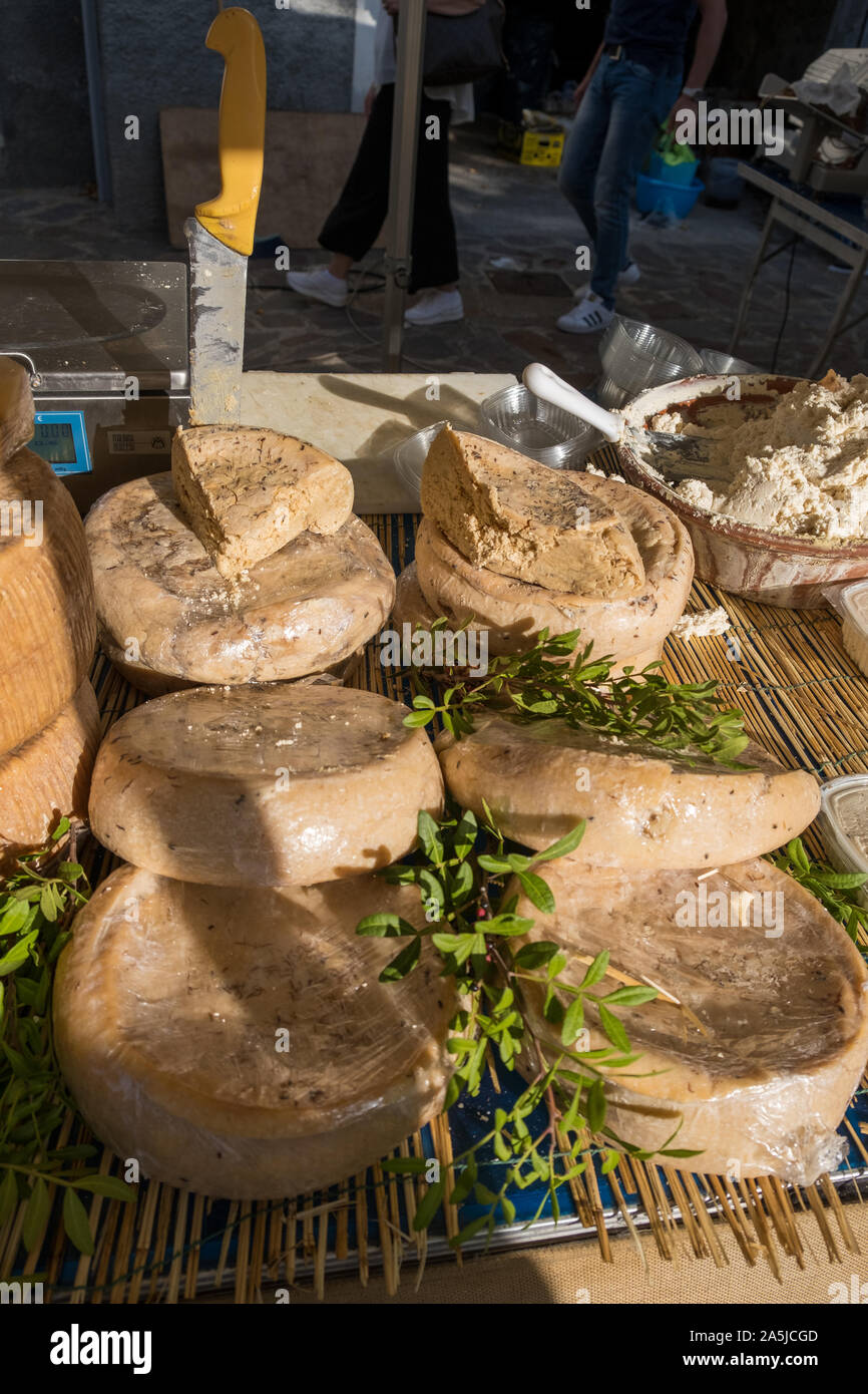 Traditional cheese with worms made in Sardenga. Banned and illegal ...