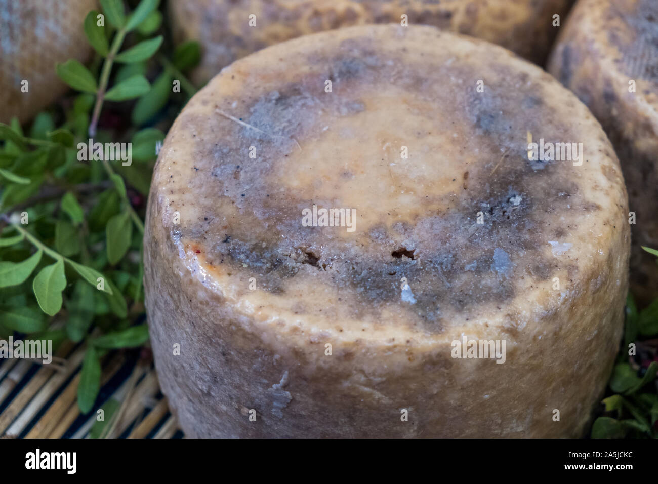 Rotten Cheese High Resolution Stock Photography and Images - Alamy