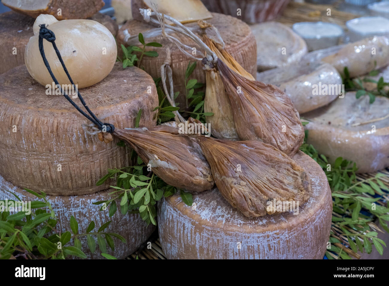 Traditional Sardinian cheese called "Su Callu" matured inside the ...