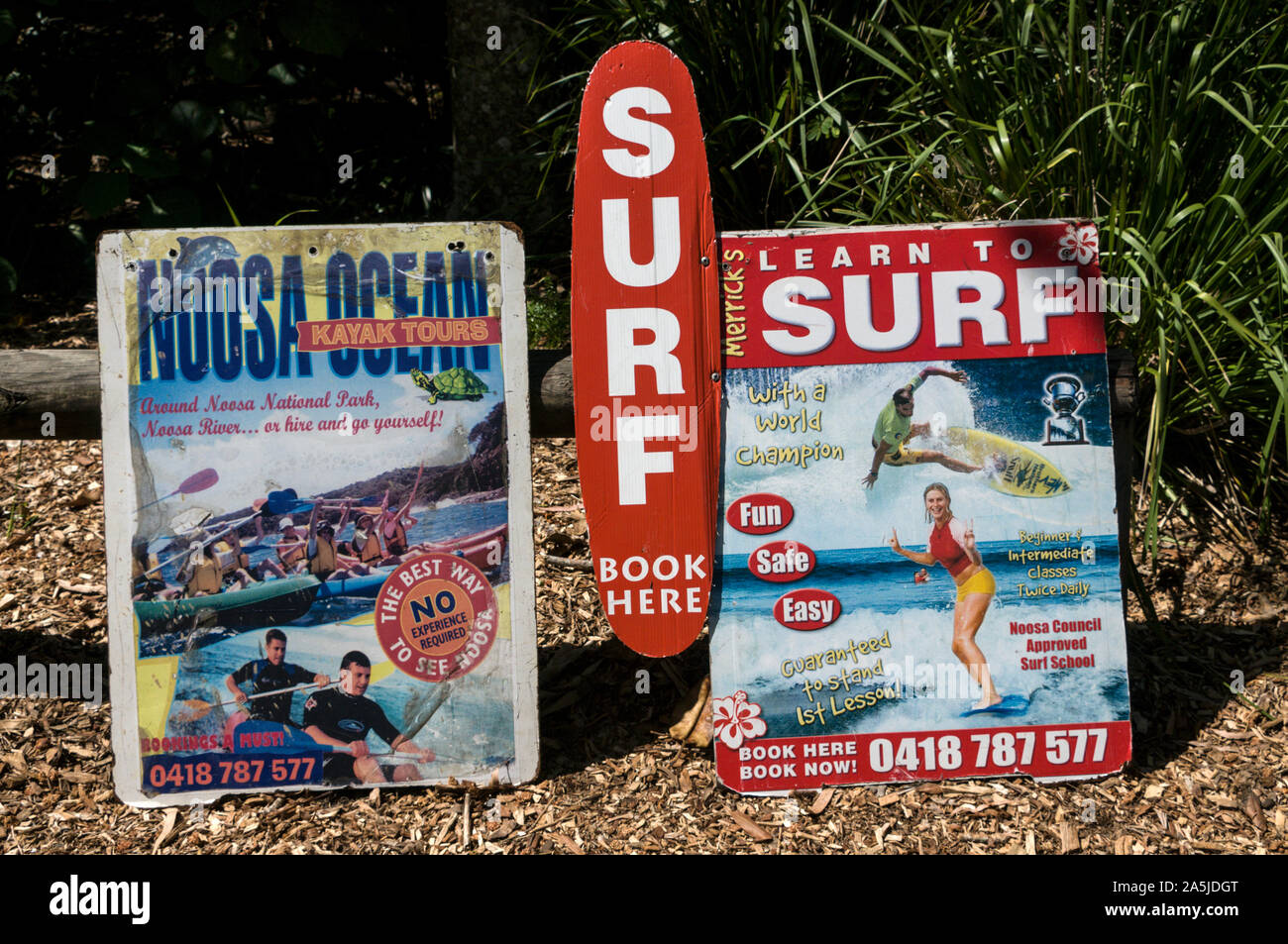 Two advertising boards offering surfing lessons at Noosa Heads on the ...