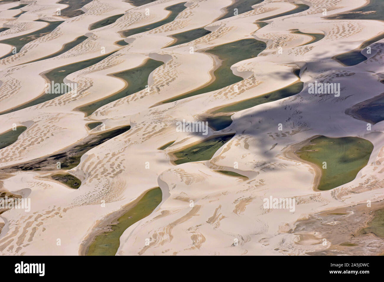America Brazil, Maranhão State Lençóis Maranhense Dunas and lagoons ...