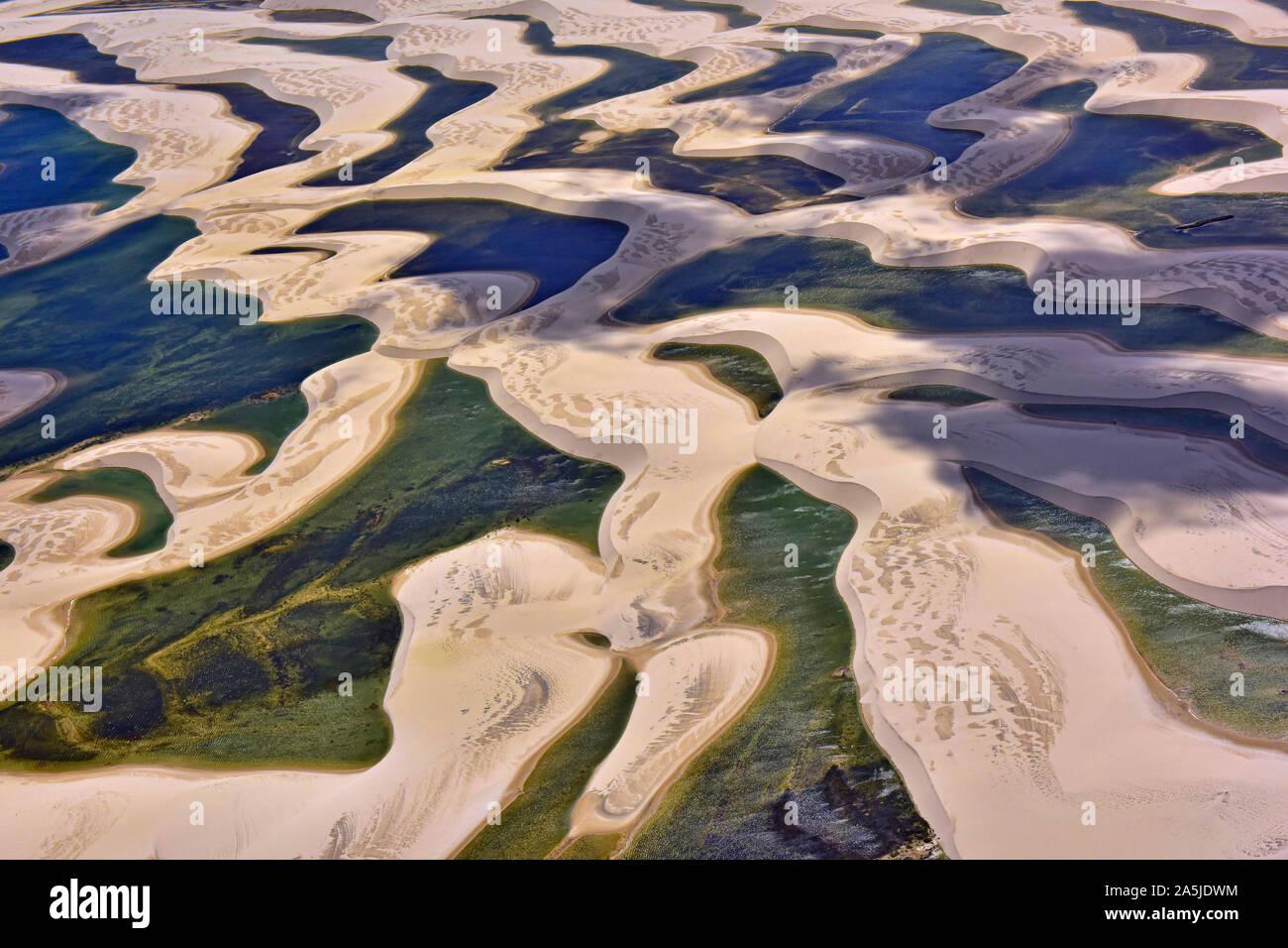 America Brazil, Maranhão State Lençóis Maranhense Dunas and lagoons ...