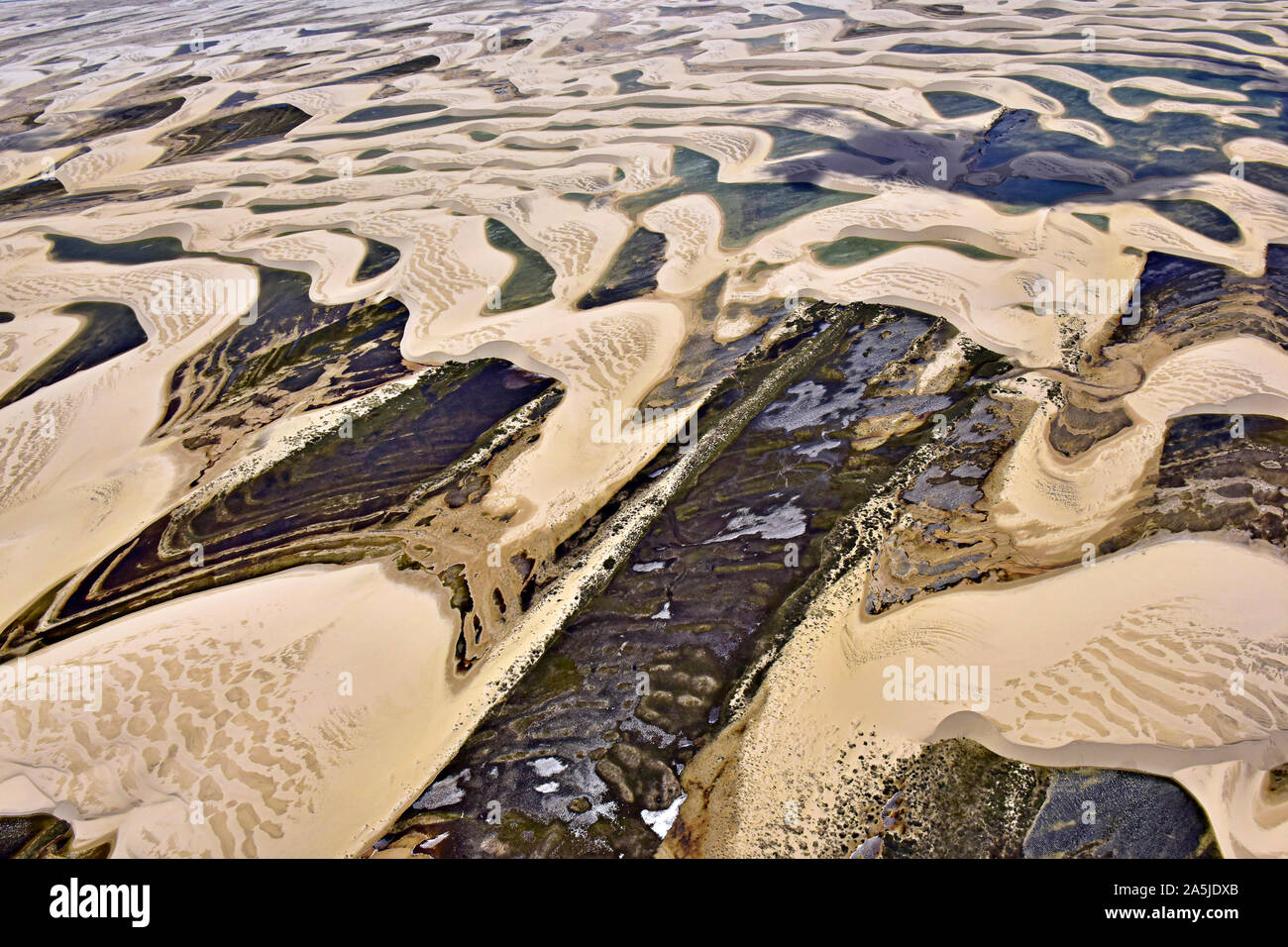 America Brazil, Maranhão State Lençóis Maranhense Dunas and lagoons ...