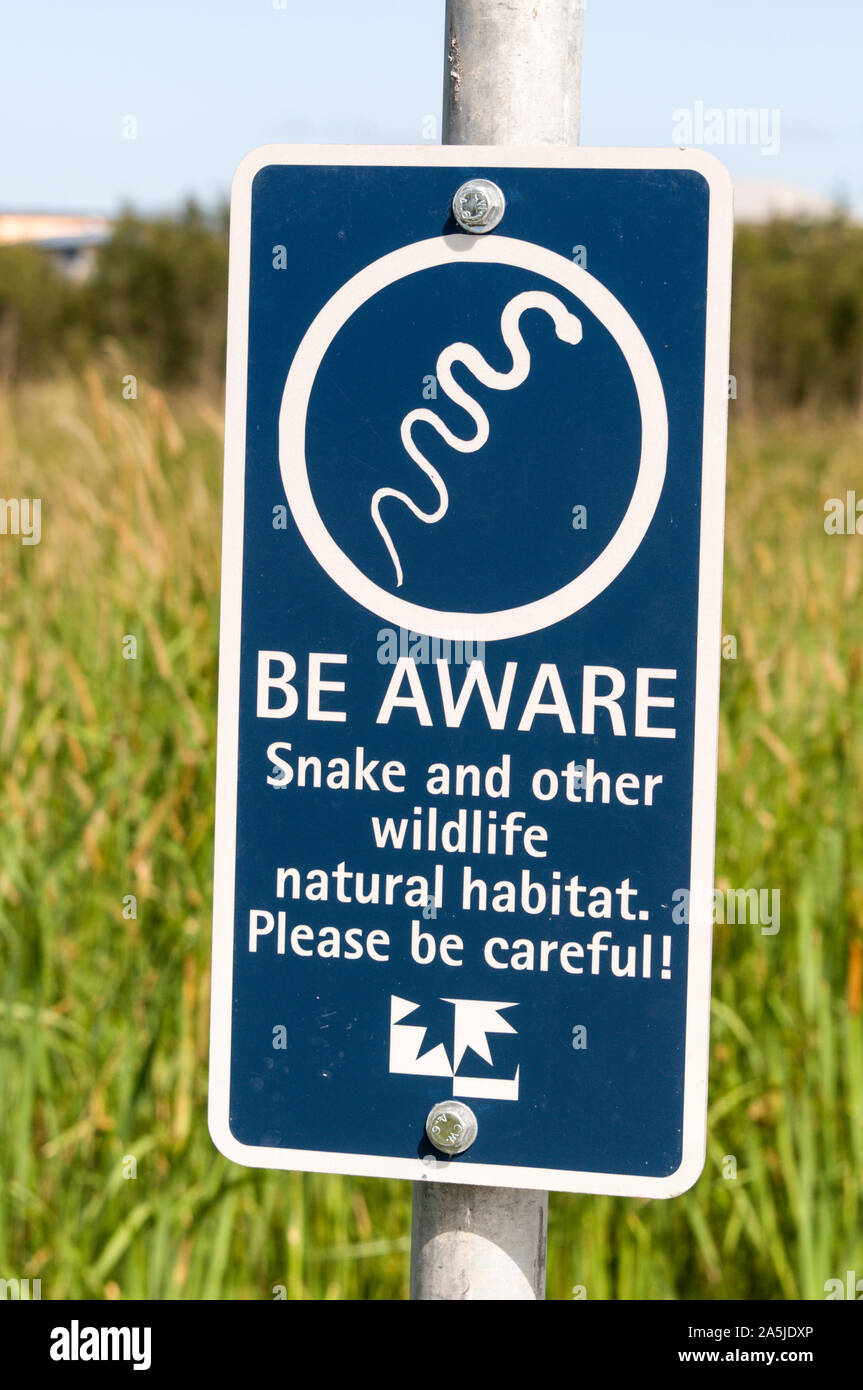 A Snake warning sign for pedestrians in Queensland, Australia Stock ...