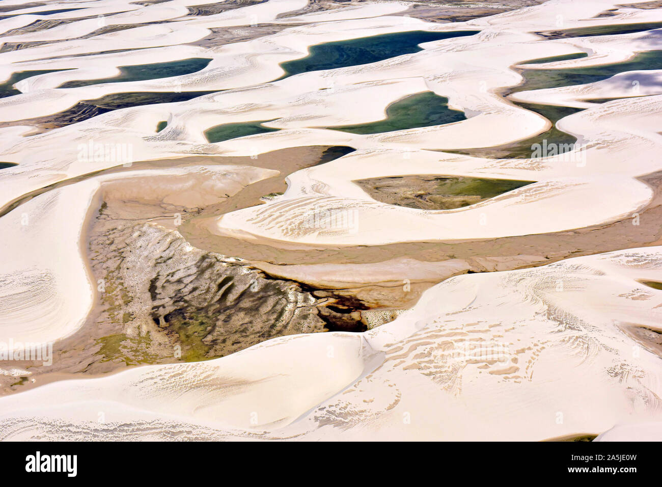 America Brazil, Maranhão State Lençóis Maranhense Dunas and lagoons ...