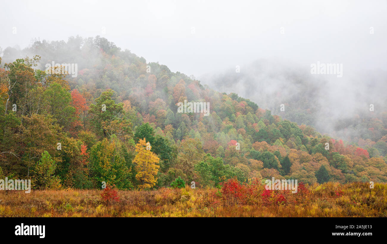 Fall colors on display in these morning photos in Central Appalachia ...