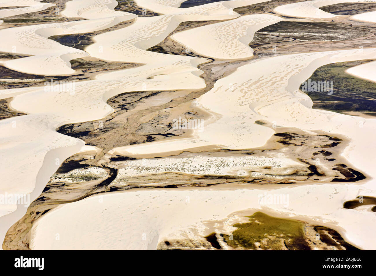 America Brazil, Maranhão State Lençóis Maranhense Dunas and lagoons ...