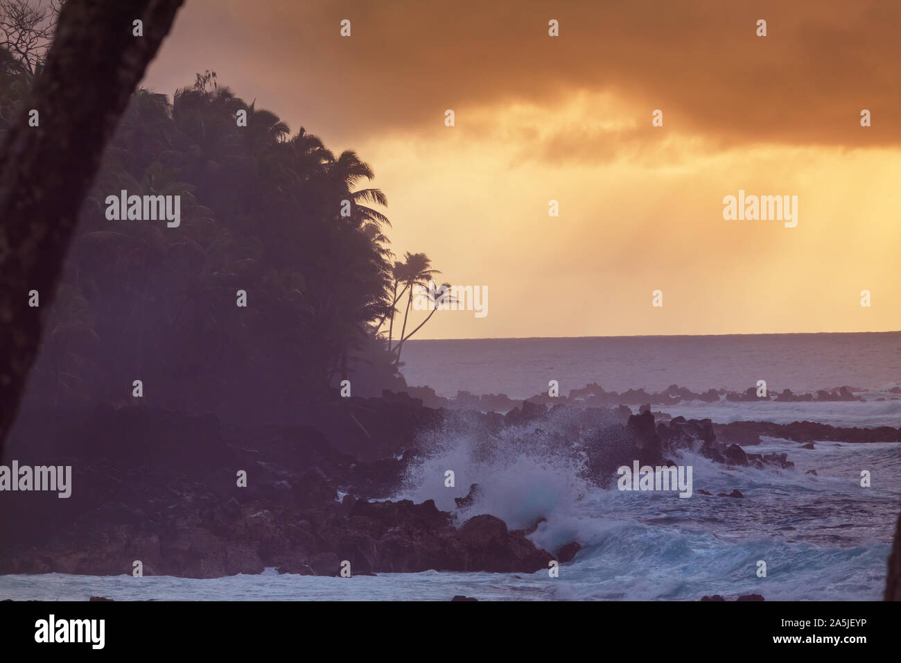 Amazing hawaiian beach. Wave in ocean at sunset or sunrise with surfer ...