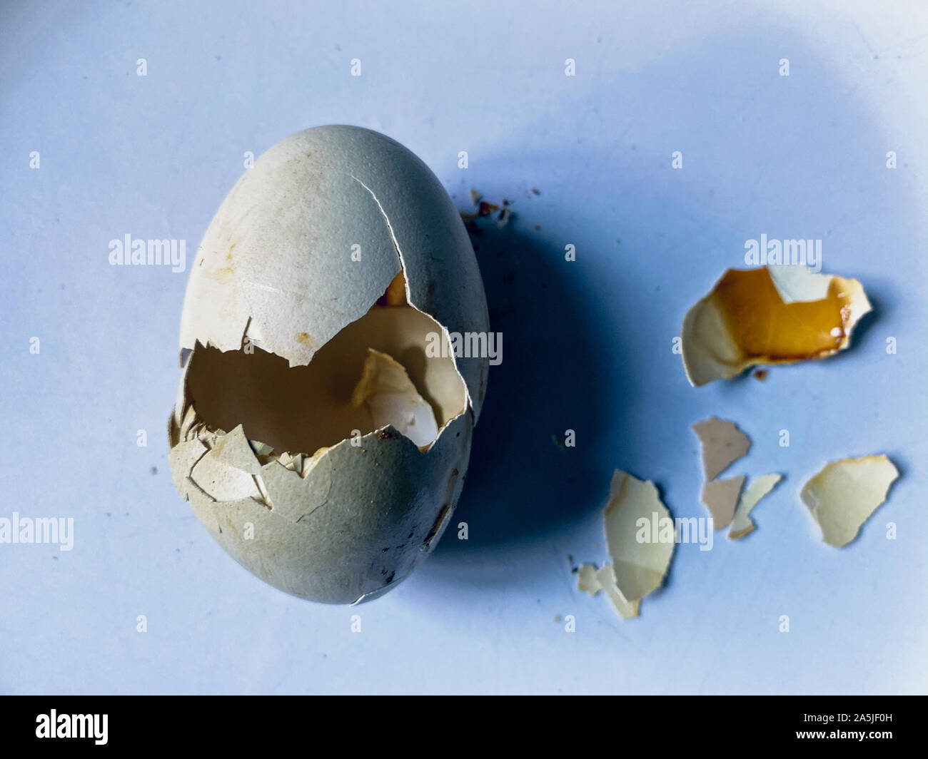 Broken egg shells hi-res stock photography and images - Alamy