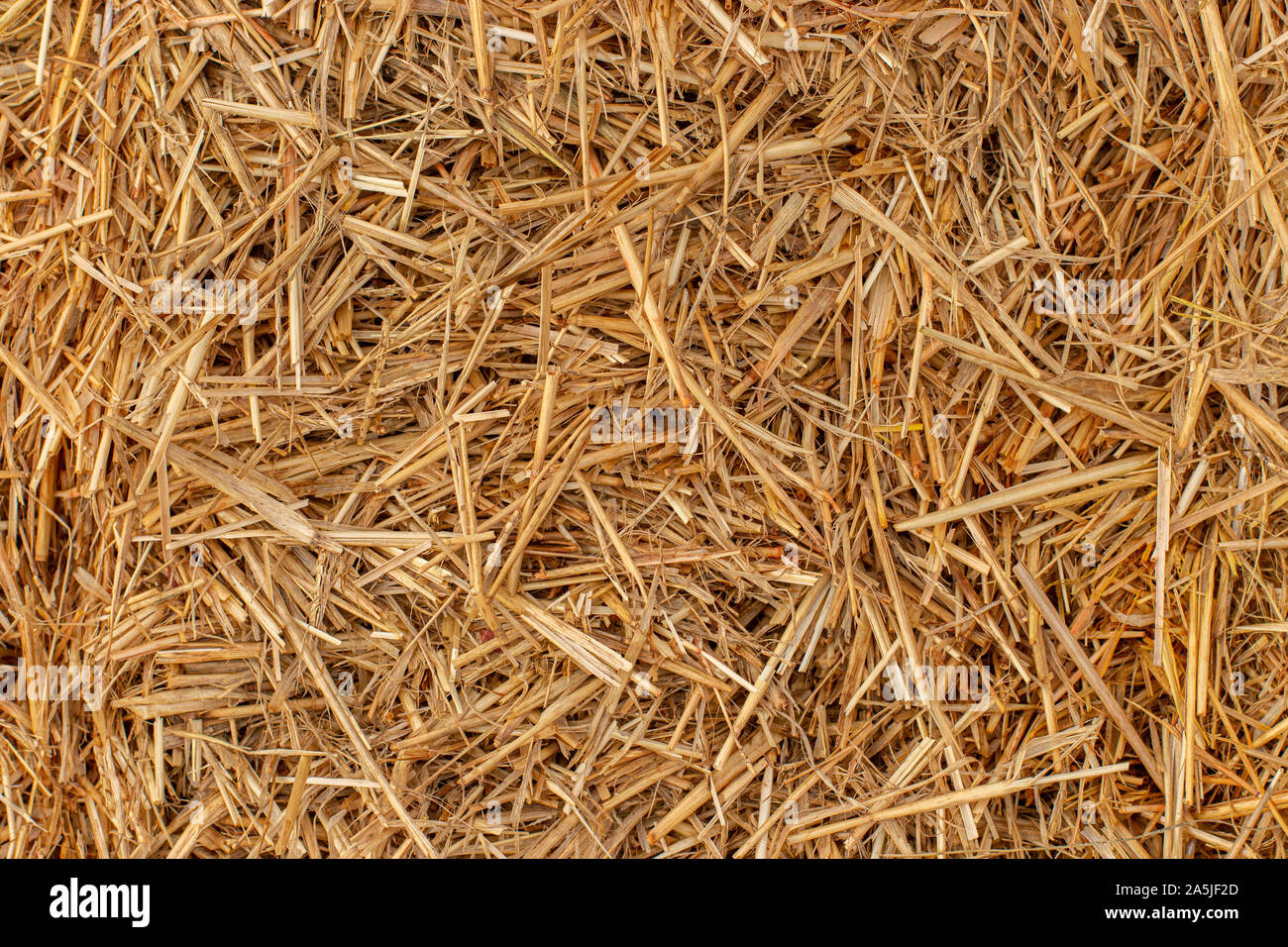 Yellow dry hay straw top view, background backdrop texture. Dry cereal ...