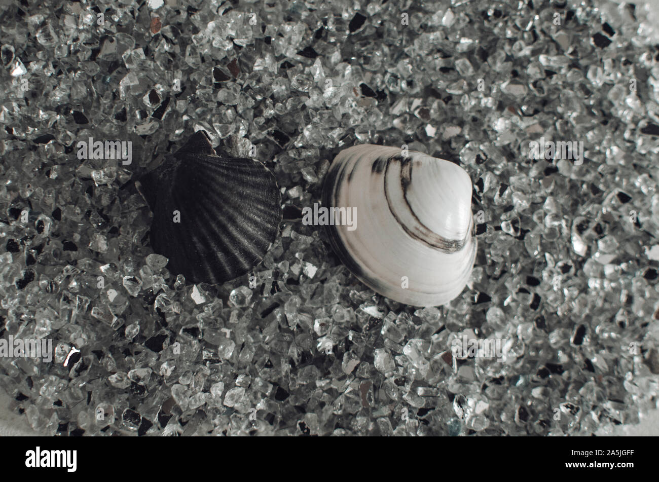 Light wall shell rock texture hi-res stock photography and images - Alamy