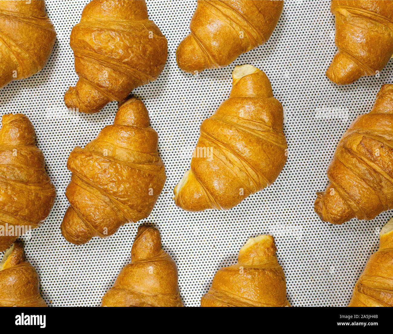 Tasty beautiful croissants with a golden crust on the table, background ...