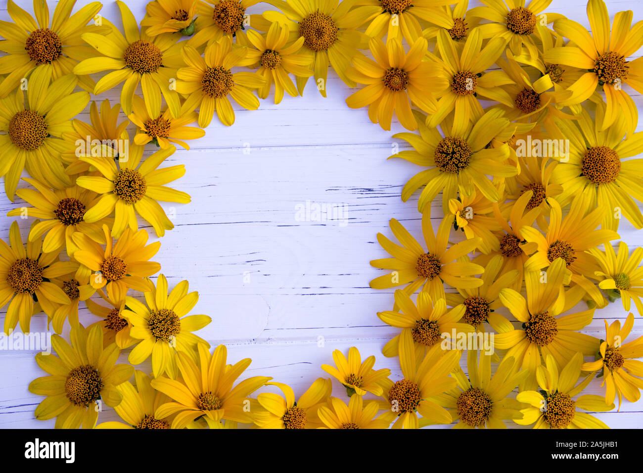 yellow flowers on a wooden light background. Look like a frame of ...