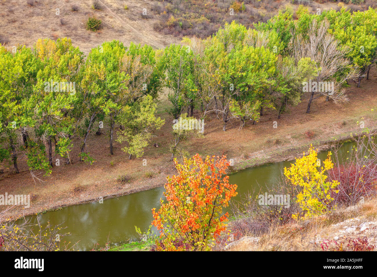 Ber trees hi-res stock photography and images - Alamy