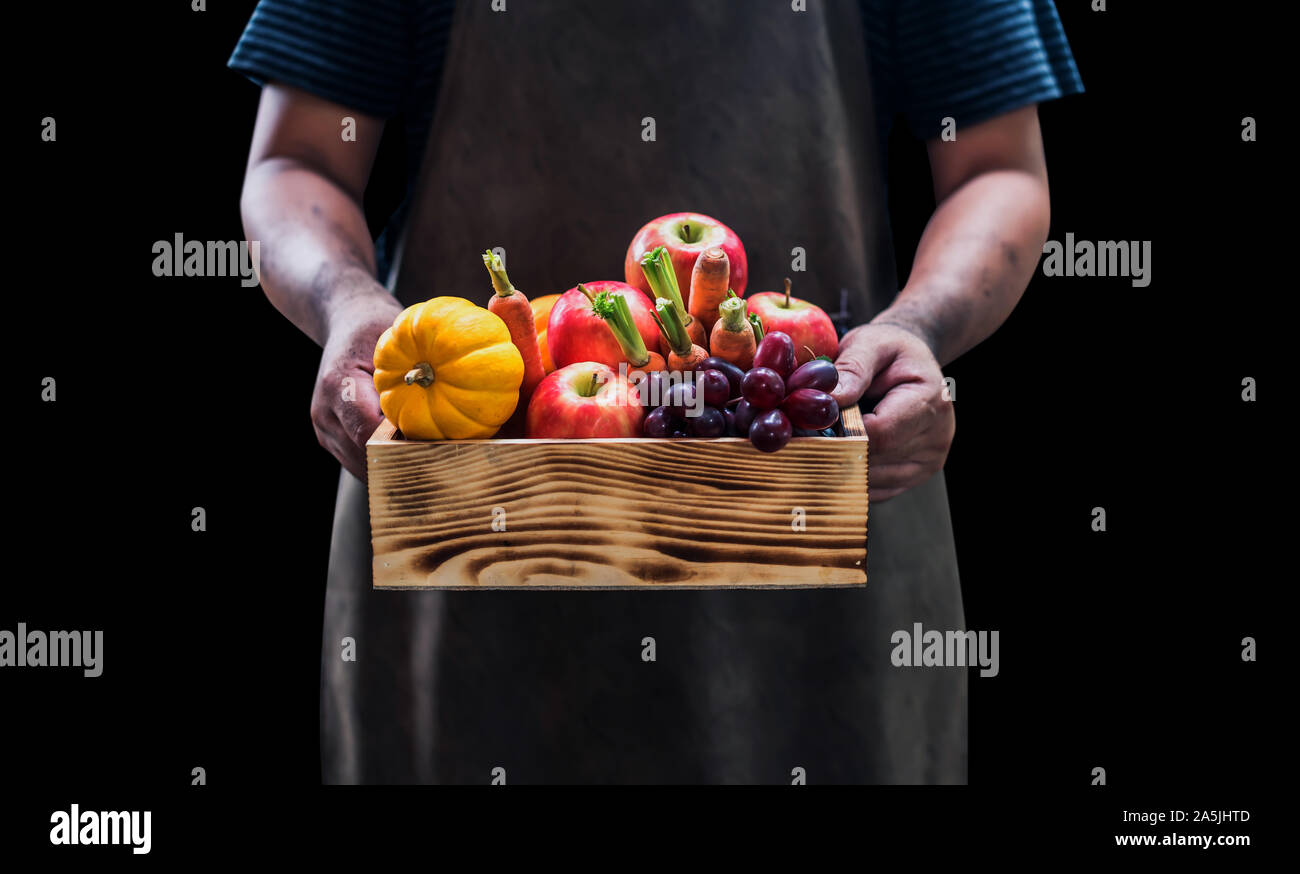 Farmer with fresh fruit on hands. Fall harvest cornucopia in Autumn ...