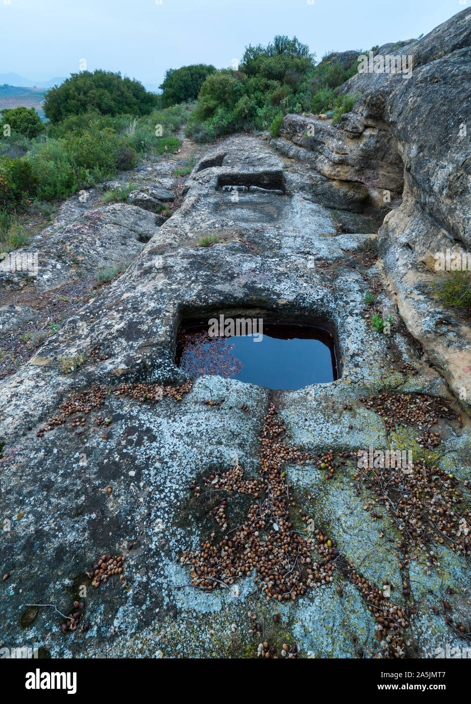 Prensa y Lagar rupestre Zabala, Peciña, La Rioja, Spain, Europe Stock ...
