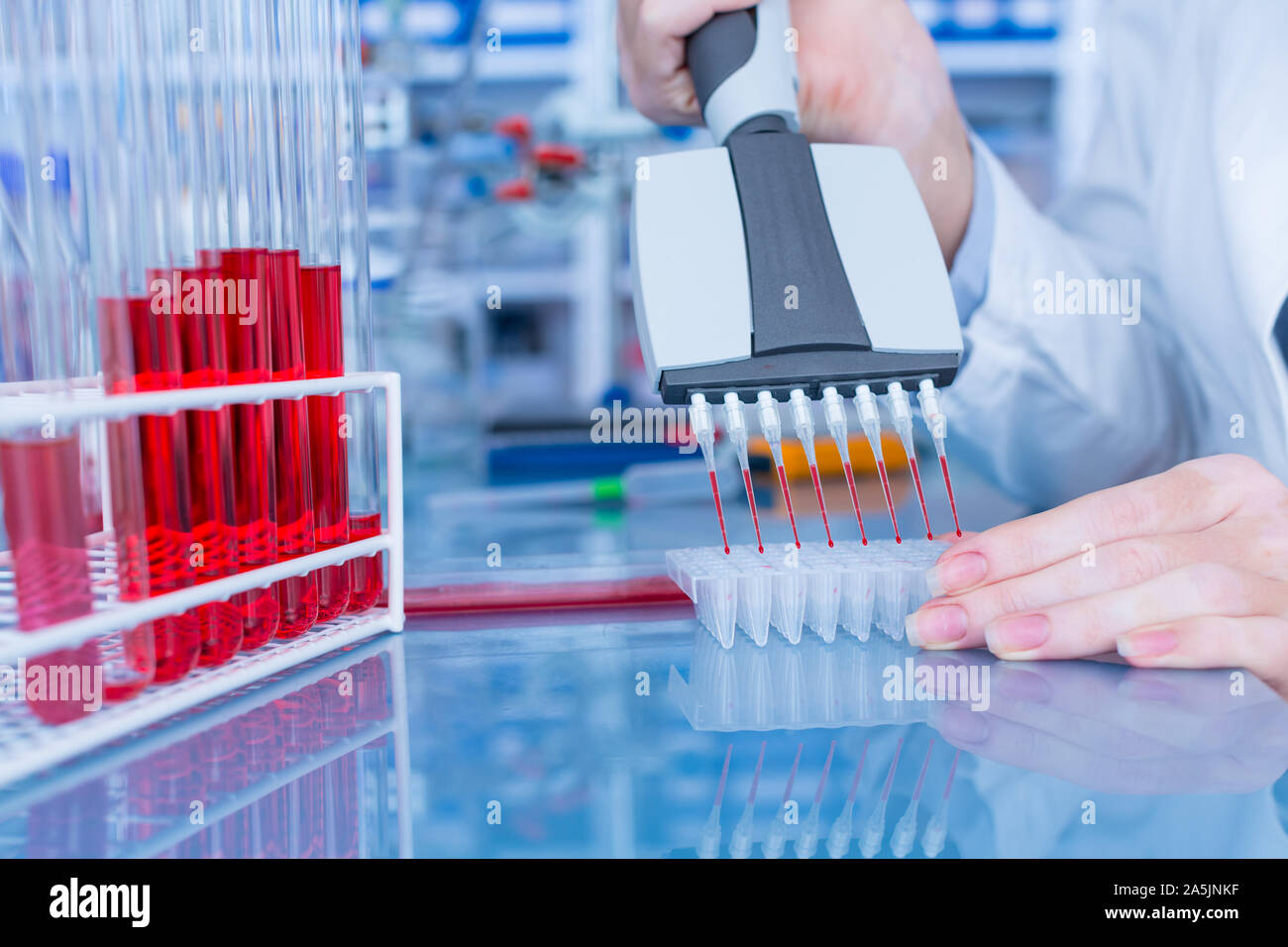 Multichannel pipette and reaction plate hi-res stock photography and ...