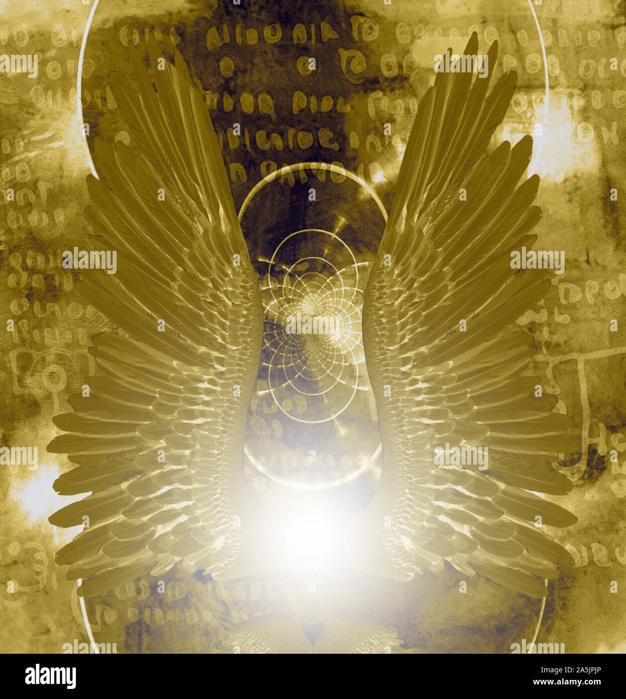 Angel wings in holy light Stock Photo - Alamy