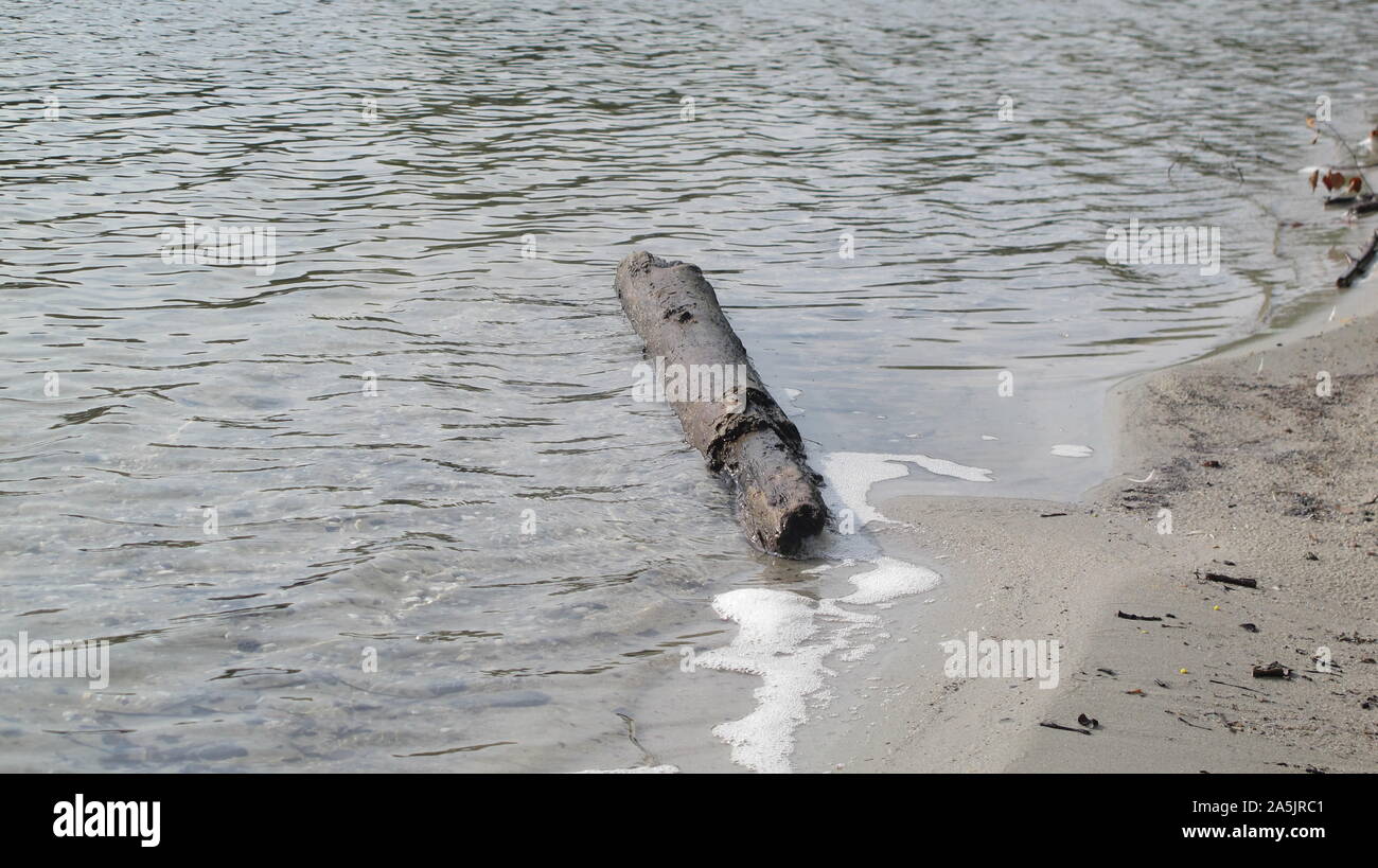 Stump coast hi-res stock photography and images - Alamy