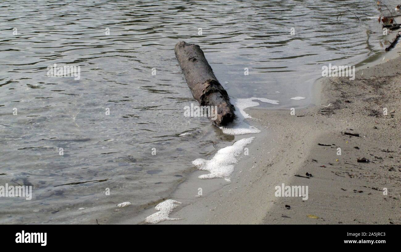 Stump coast hi-res stock photography and images - Alamy