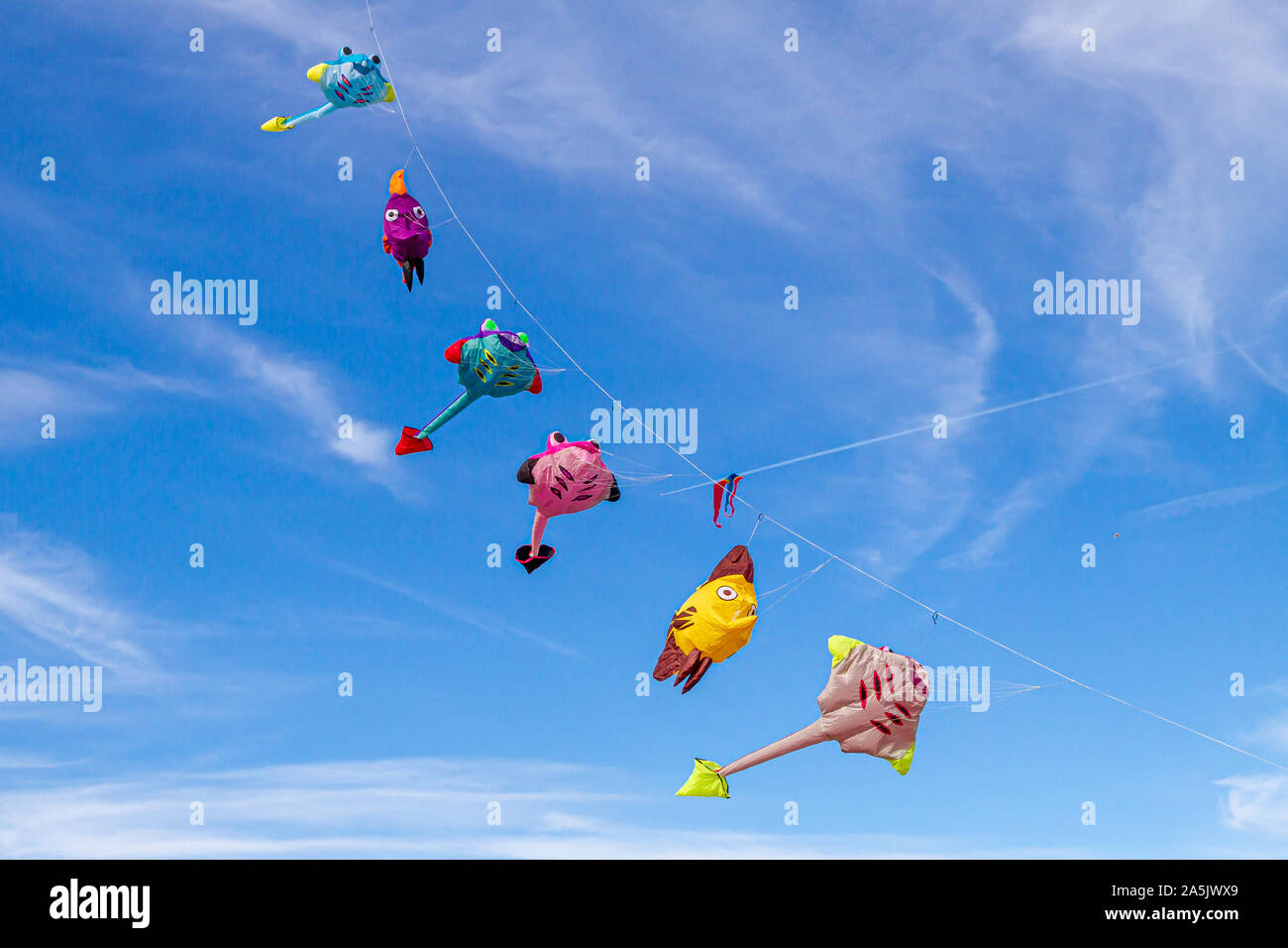 Flying fish season hi-res stock photography and images - Alamy