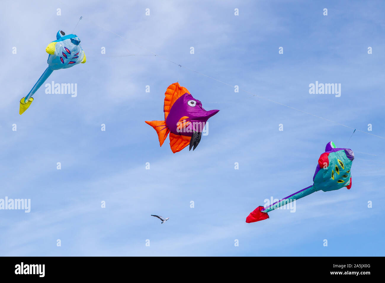 Funny kites hi-res stock photography and images - Alamy