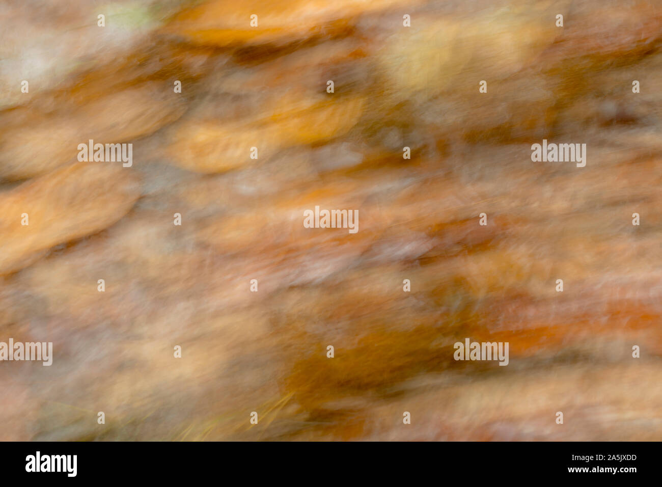Blurred background of bright autumnal red brown colors with white ...